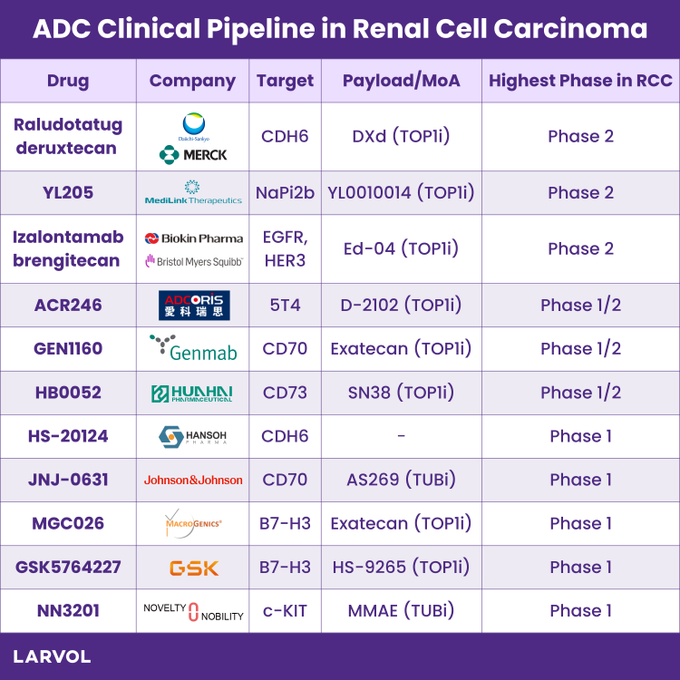 On World Kidney Cancer Day, we take a look at the ADC clinical pipeline ...